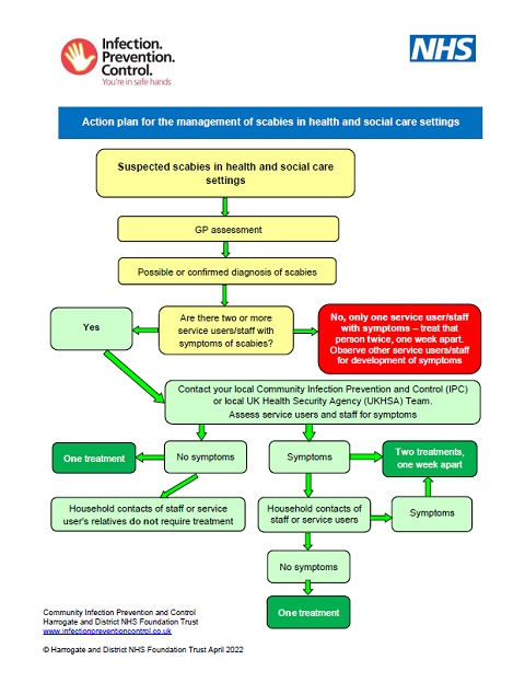 Action plan for the management of scabies in health and social care ...